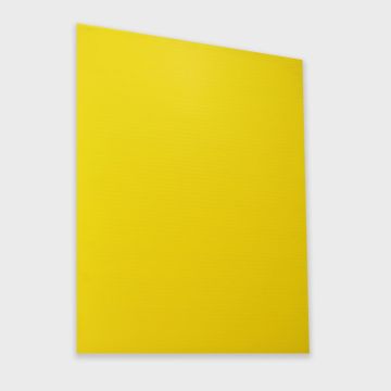 5mm Corriboard 800gsm 2440mmx1220mm - White-SDP