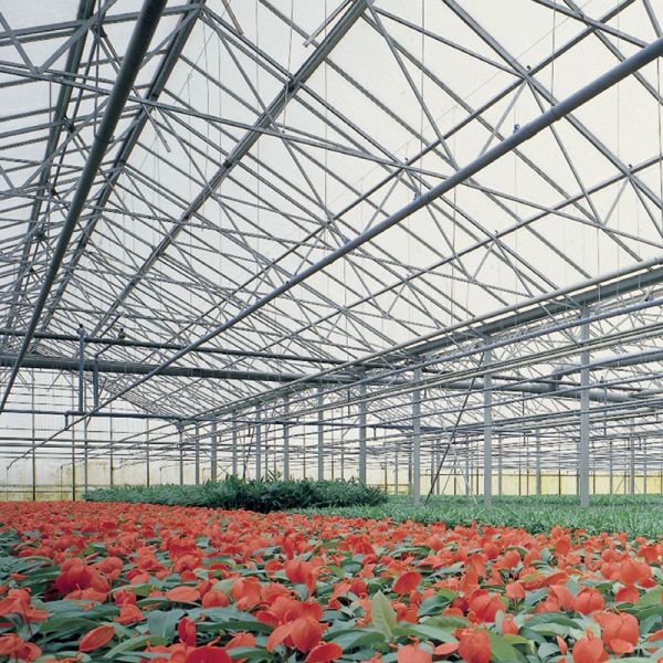 horticultural perspex